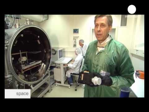 Venus Earth S Evil Twin Denis Loctier